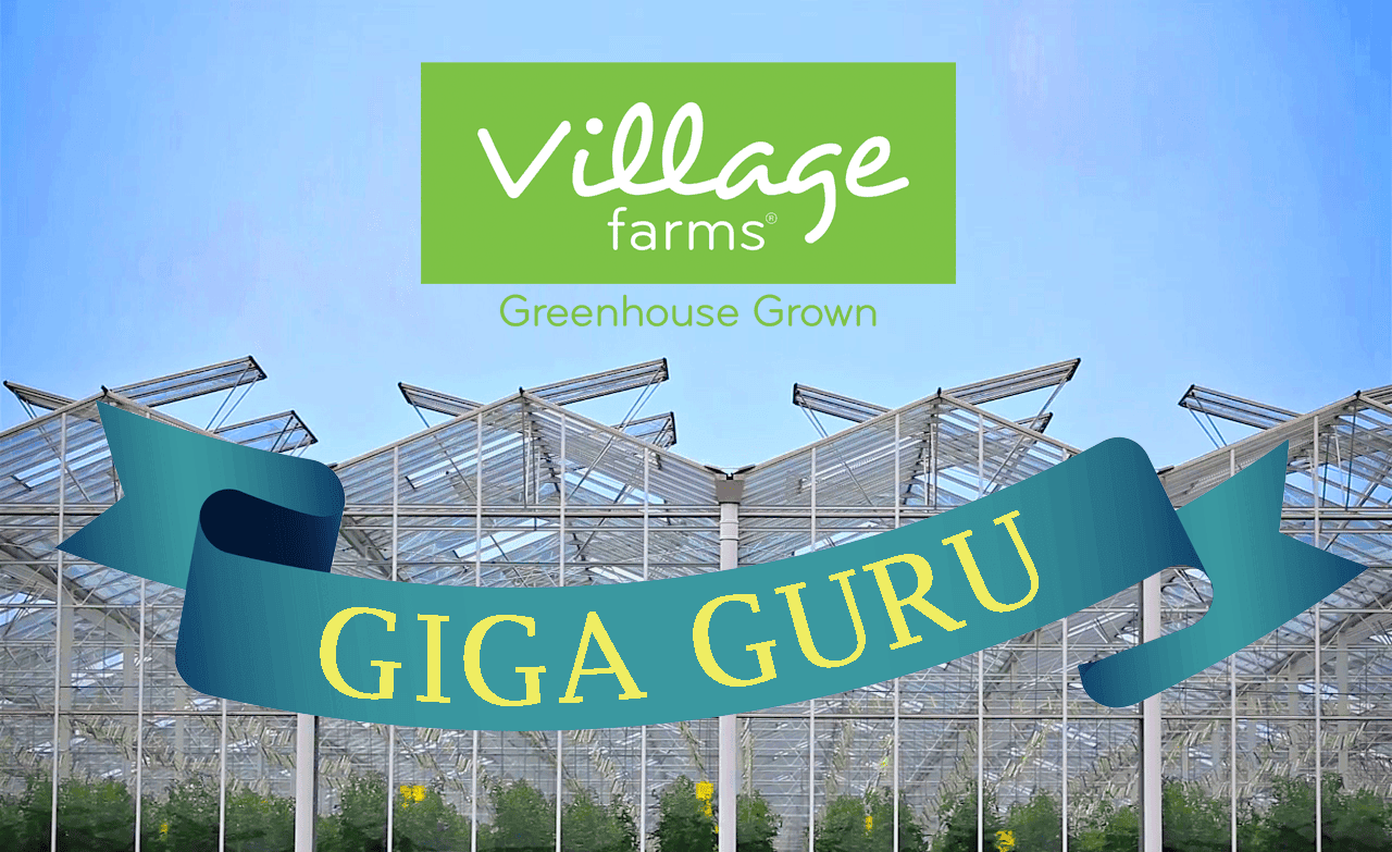 Village Farms Fresh Receives Giga Guru Status by Walmart’s Project ...