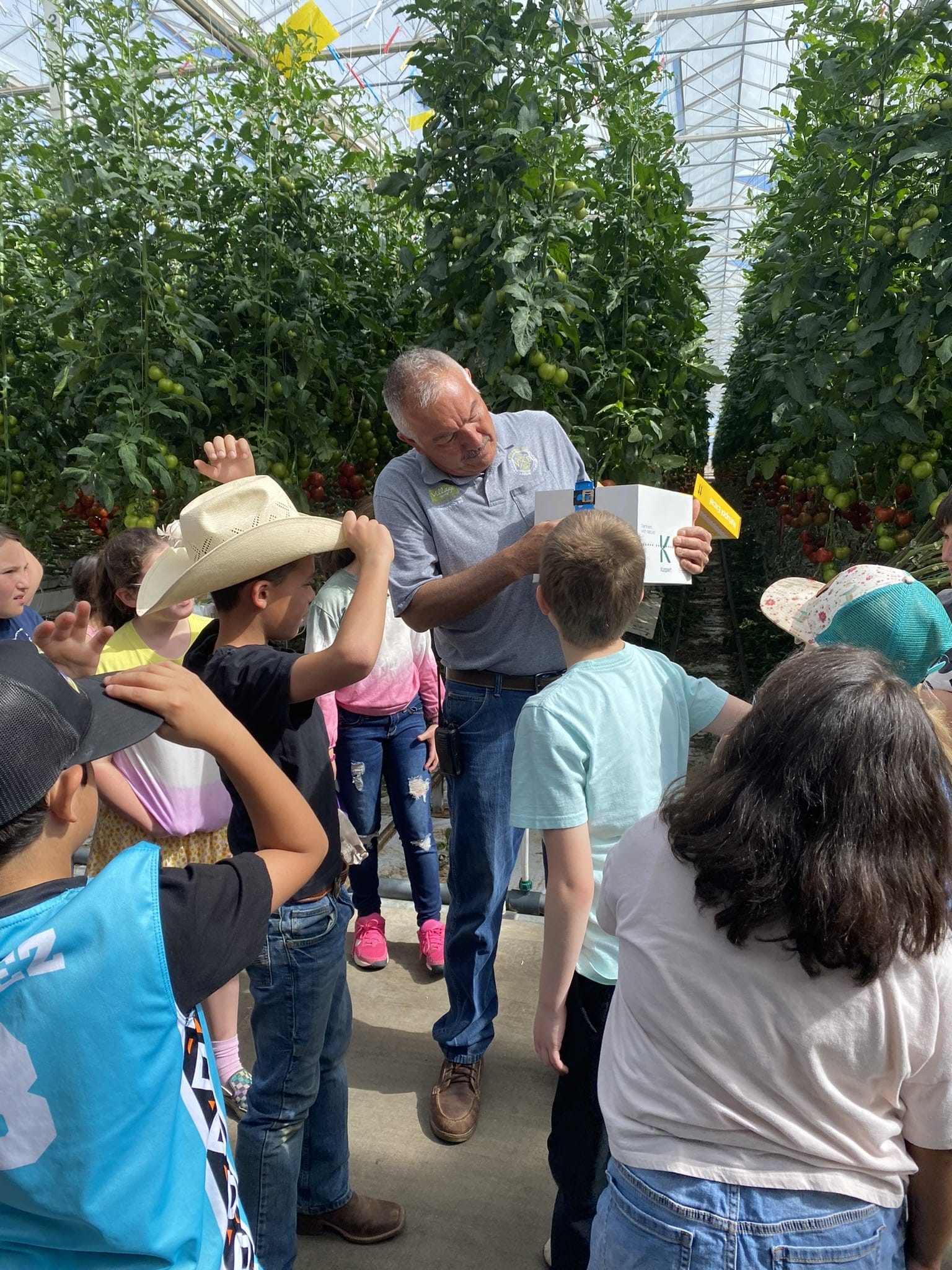 Cultivating Tomorrow’s Leaders: Village Farms Fresh’s Greenhouse Tours ...